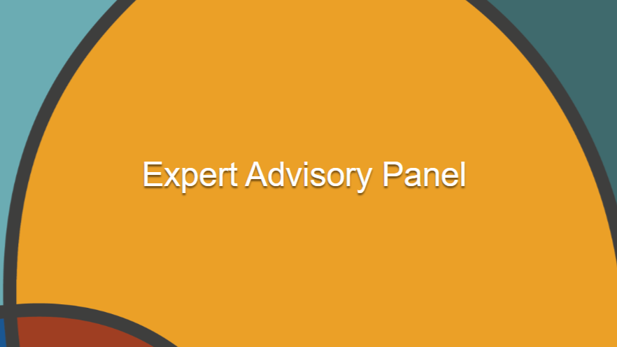 Expert Advisory Panel - Implementation Science for Non-Communicable ...